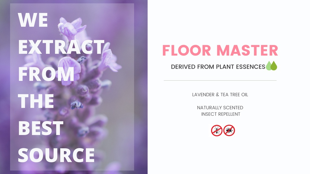 Lavender & Tea Tree 1000ml- Floor Master Floor Cleaner Concentrate ...