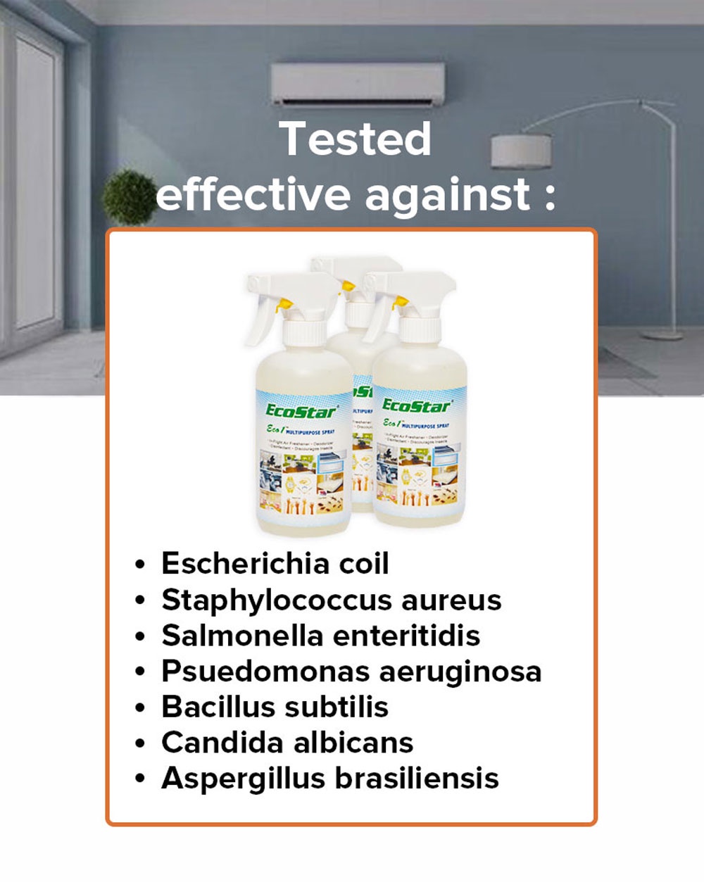 Ecostar Multipurpose Disinfectant Spray Indoor Air Freshener Insect ...