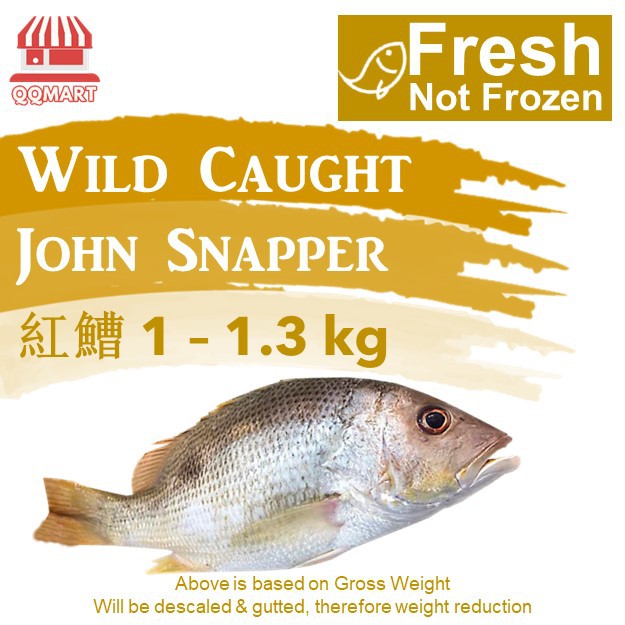 QQMart Fresh Seafood (Not Frozen) - Wild Caught Fresh John Snapper 1 to ...