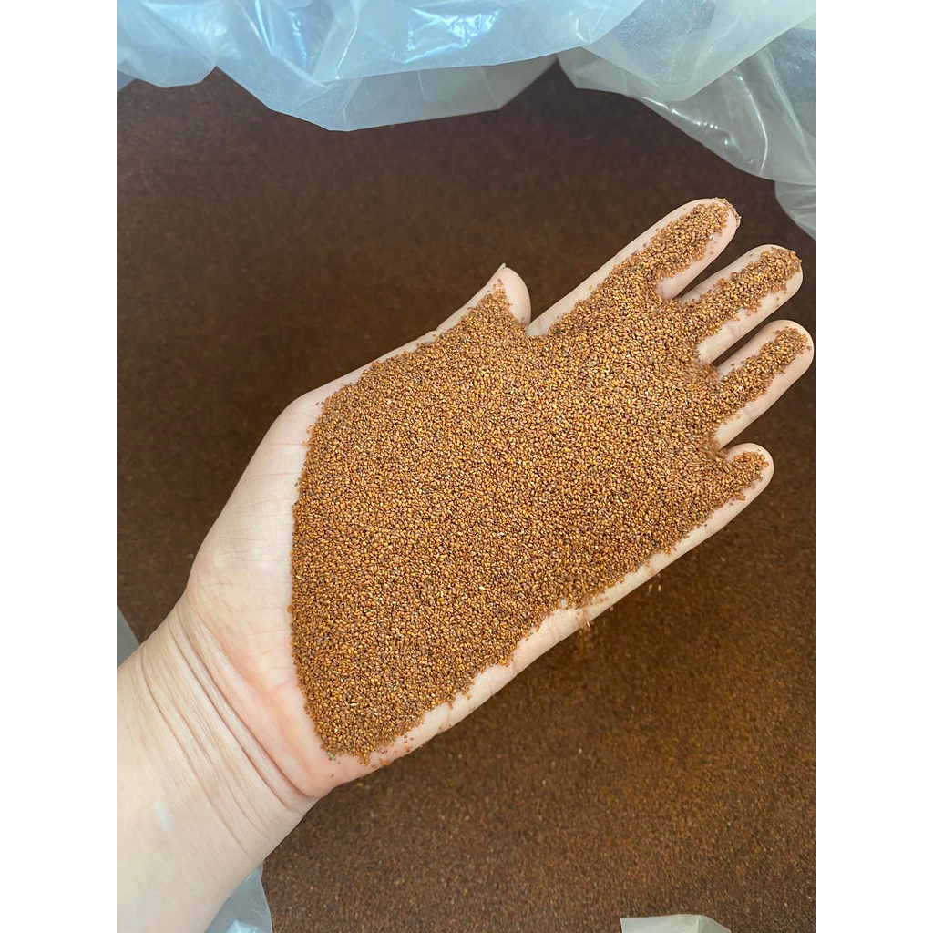 Five flower seeds 1kg baby seeds hanmade product | Shopee Singapore