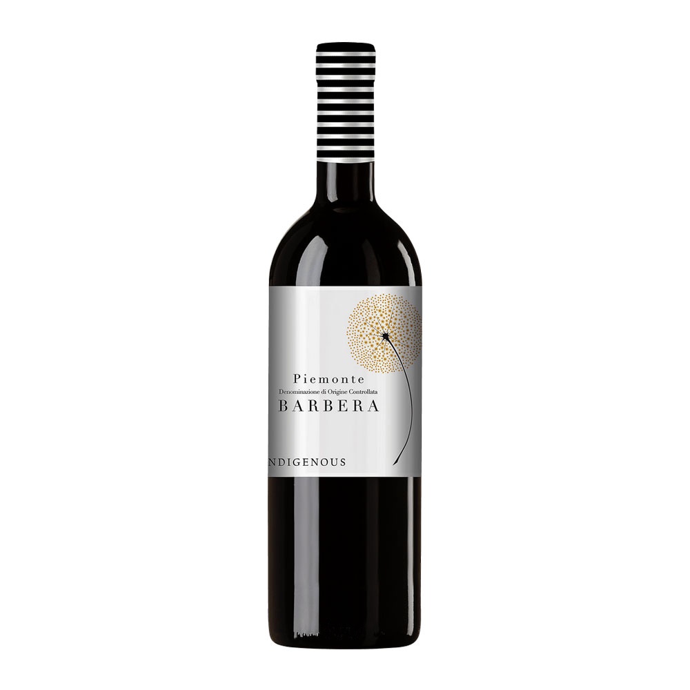 Indigenous Barbera Piedmont Italian Red Wine Italy Piedmont | Shopee ...
