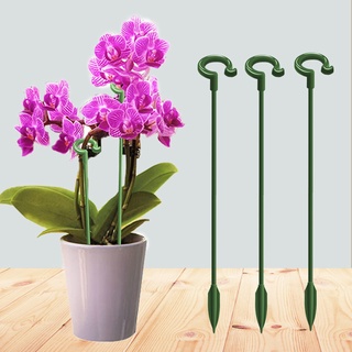 10Pcs Plant Shape Bracket/Anti-lodging Phalaenopsis Flower Supports ...
