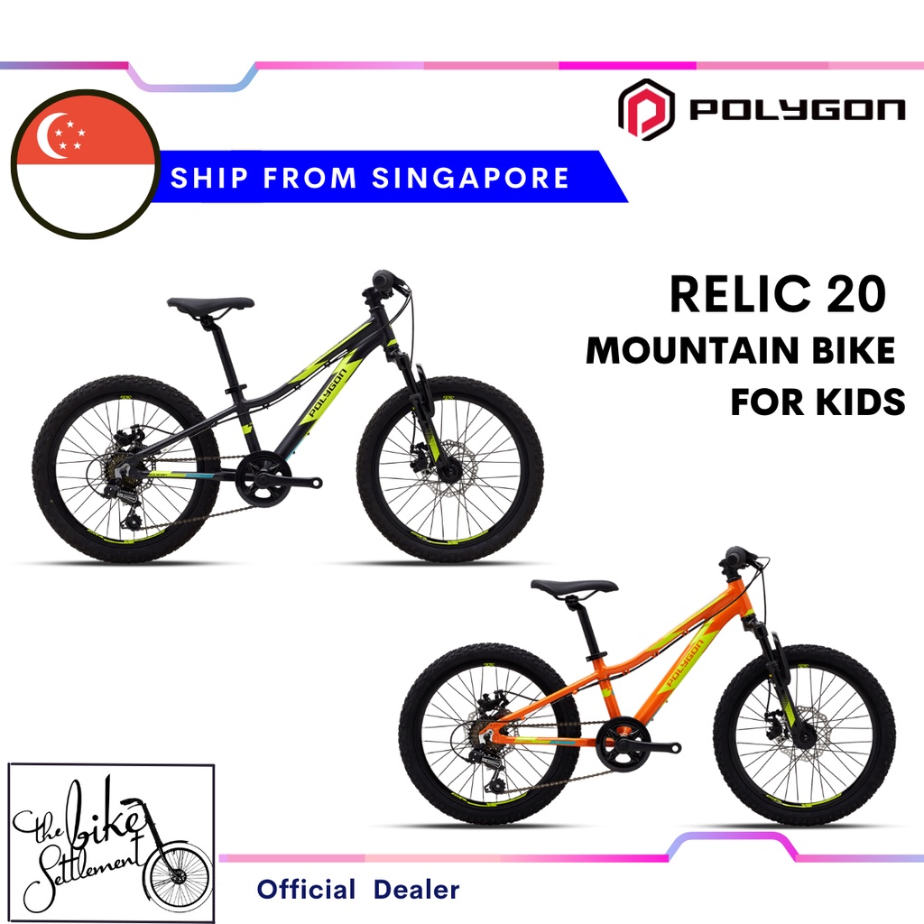 Polygon Relic 20 Mountain Bike for Kids (Assembly and Tuning included ...