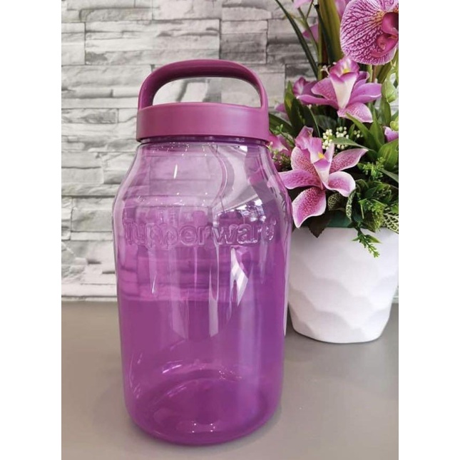 UNIVERSAL JAR TUPPERWARE (PURPLE) | Shopee Singapore