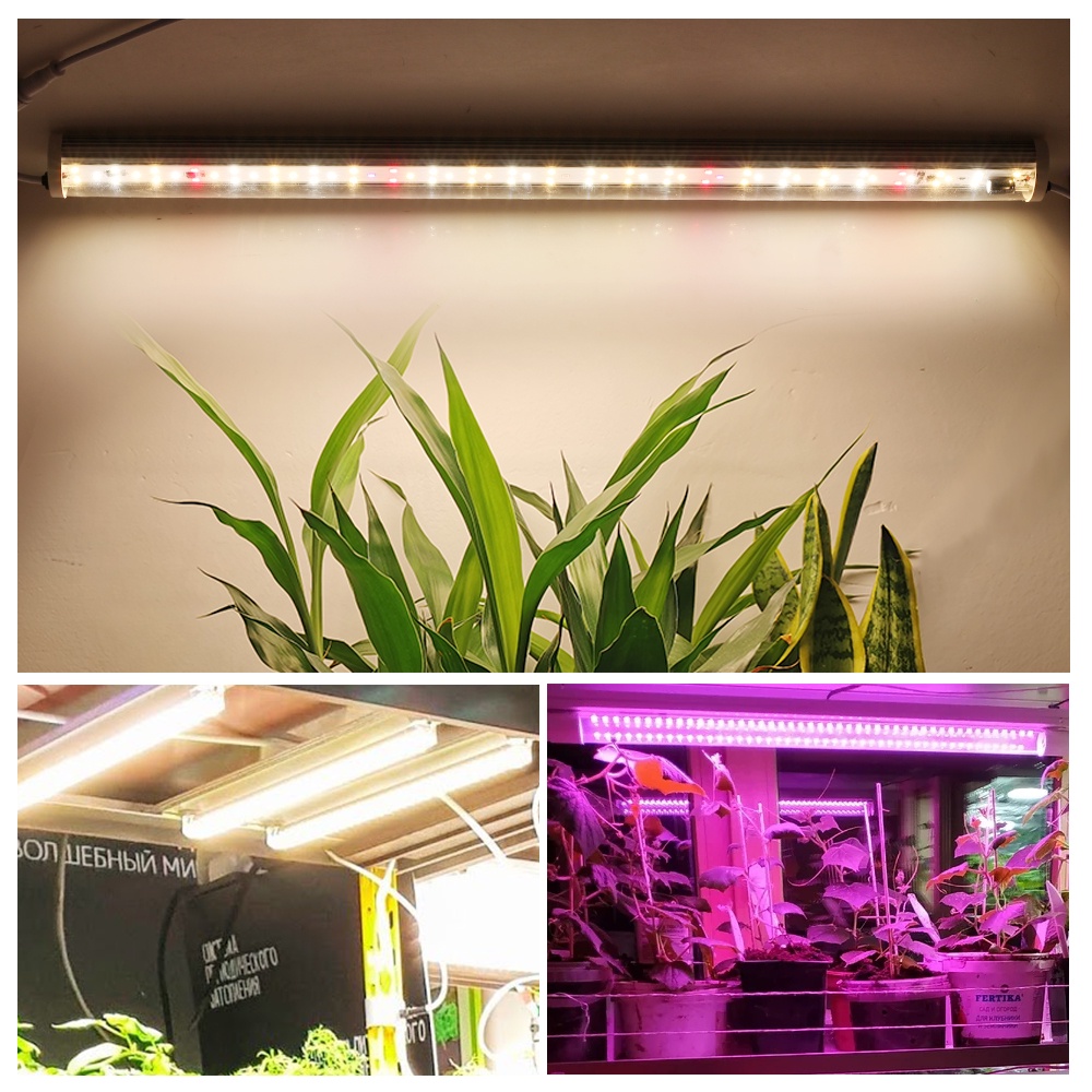 AC220V 1-6pcs LED Grow Light Full Spectrum 73leds Plant Light ...