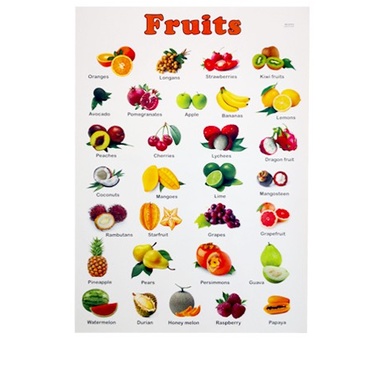 Fruit Wall Chart /Carta Buahan 20Inch X 28Inch | Shopee Singapore