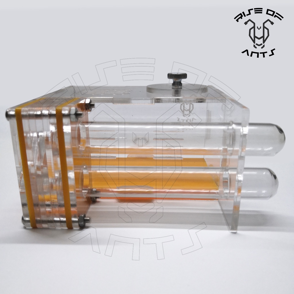 Ants Test Tube nest - 2 Test tube acrylic ant nest glass test tube ant ...