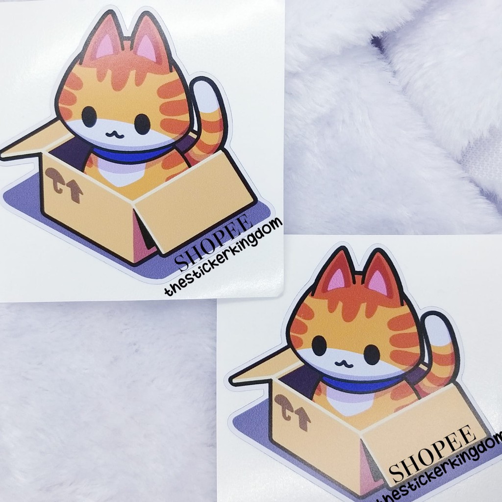 💕 WATERPROOF💕Cat in Box/ Orange Tabby/ Laptop Sticker/ Car Decal ...