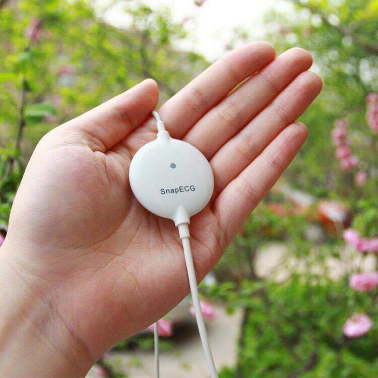 Handheld Dynamic ECG Monitor 24-Hour Portable Heart Monitoring ECG ...