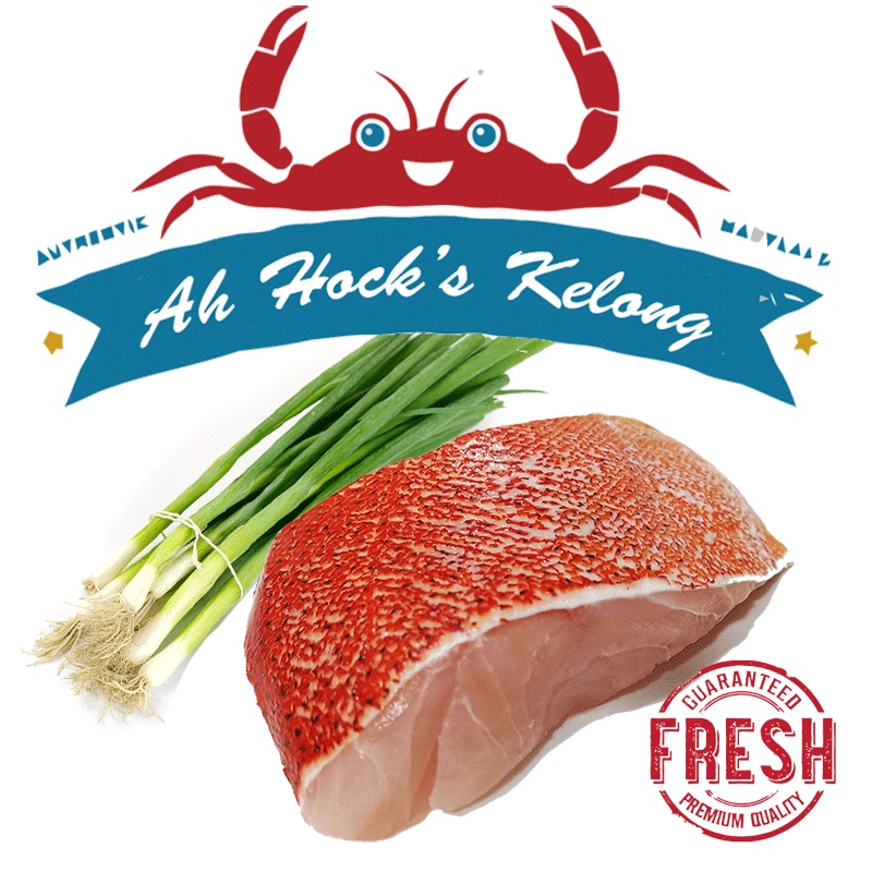 RED GROUPER FILLET 250G UP (FRESH) | Shopee Singapore