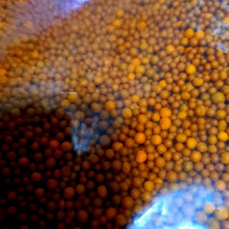 Powercote Slow Release Fertilizer Granules 15+15+15 Similar to Osmocote ...