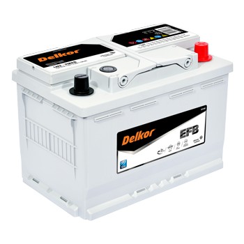 DELKOR DIN, EFB AND AGM BATTERY (START/STOP) | Shopee Singapore