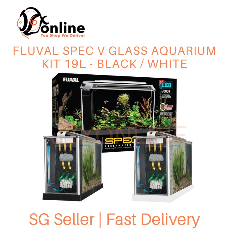 FLUVAL Spec V Glass Aquarium Kit 19L - Black / White | Shopee Singapore