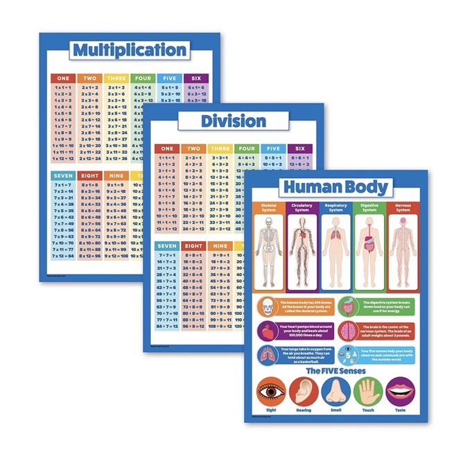 Laminated Maths Multiplication Tables Poster + Division + Human Body ...