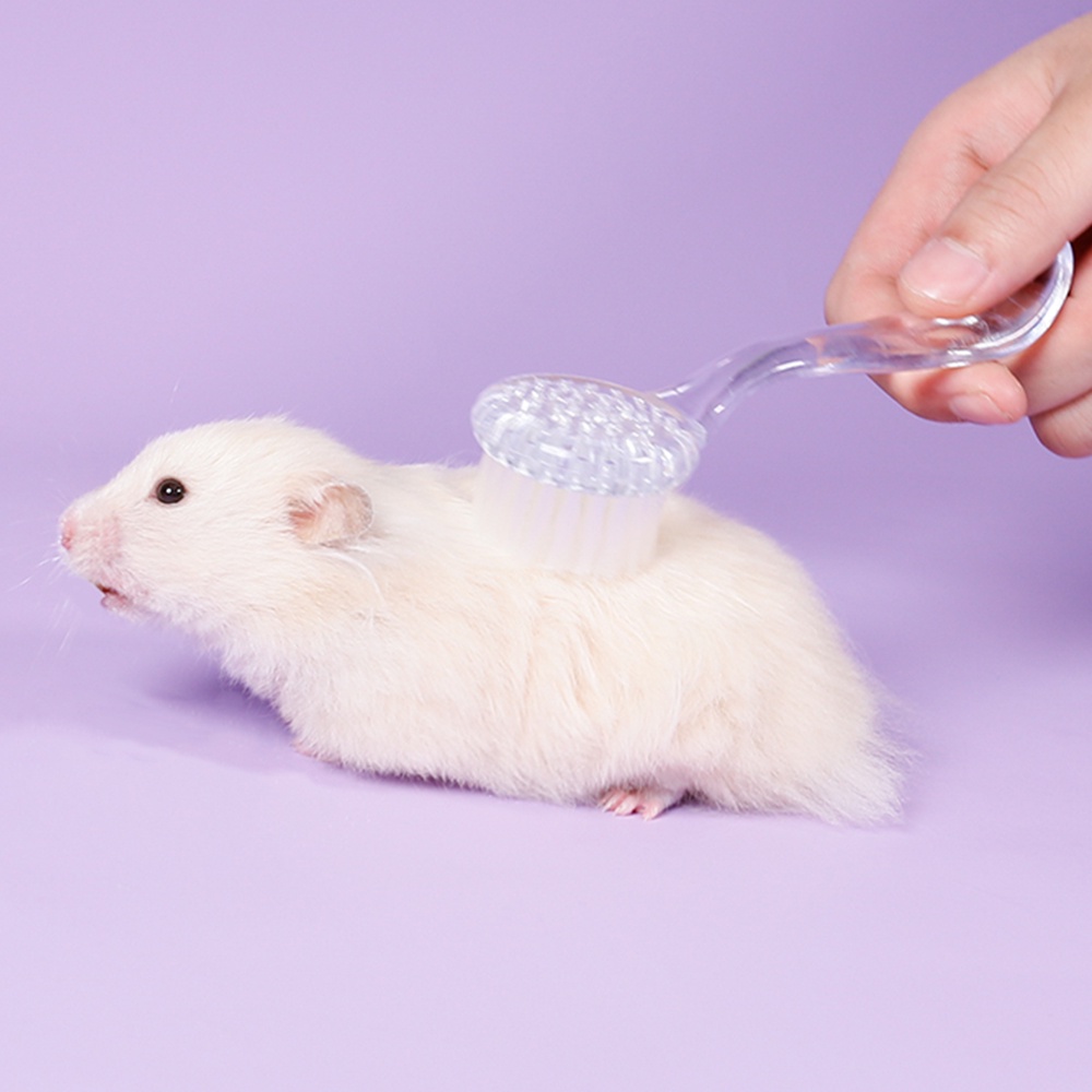 Hamster Soft Hair Comb Long-Haired Golden Bear Daily Necessities Small ...