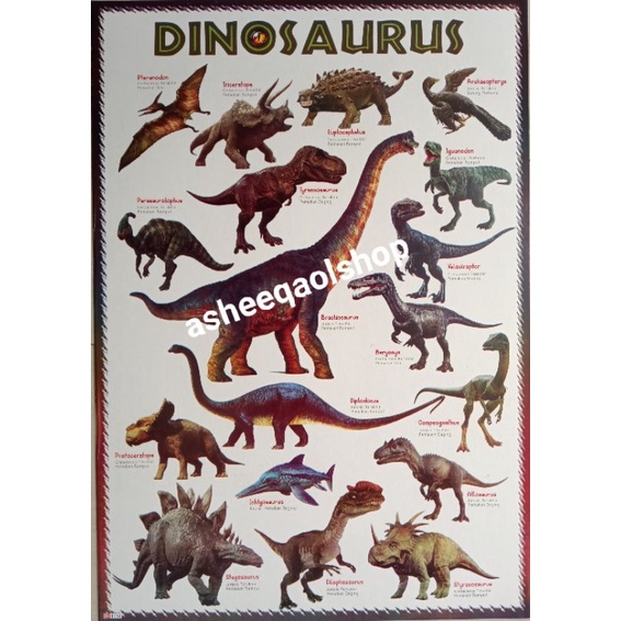 Educational Poster.!! Getting to Know Dinosaurs | Shopee Singapore