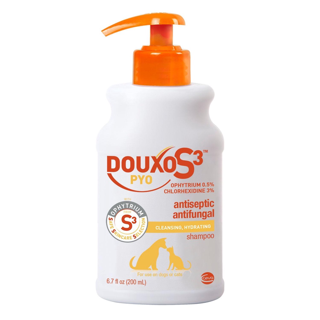 Ceva Douxo S3 PYO latest Douxo 1 Recommended Antifungal Shampoo for ...