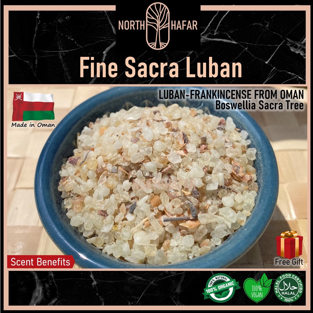 Luban Oman Fine Mix Sacra, Frankincense Olibanum Incense Damar Kemenyan ...
