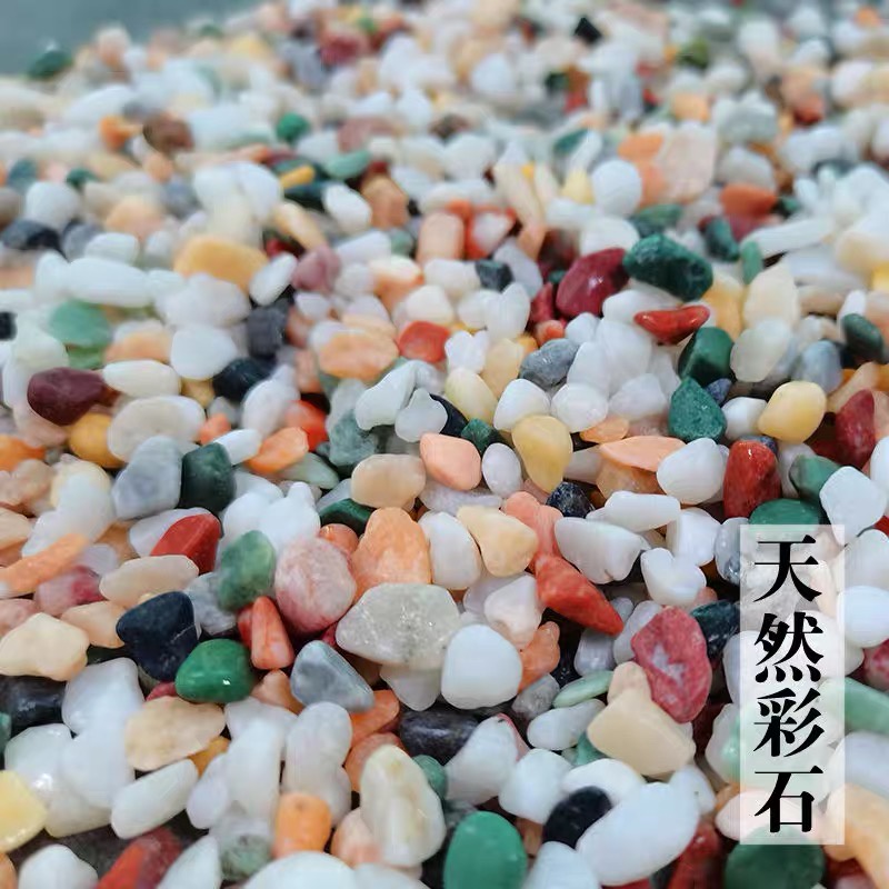 Decorative flowers Paving Stone Color Stone River stones Pebble Flower ...