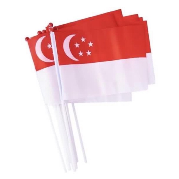 SG Ready Stock 🇸🇬 100 PCS Handheld Singapore Flag | Cloth National Day ...