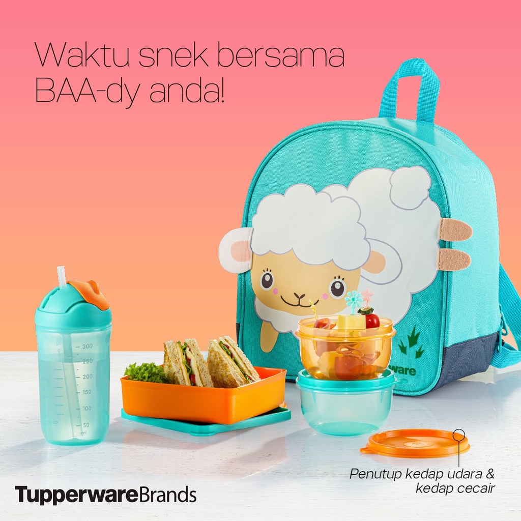 Tupperware Lunch set for Kids and Backpack / Back to School Set ...
