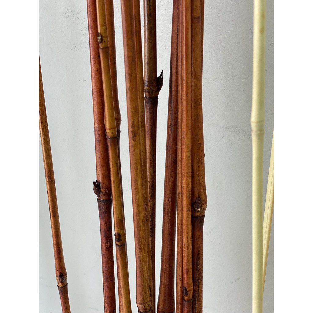 Decorative Natural Reed Home Decoration Sticks Artificial Plant Rattan ...