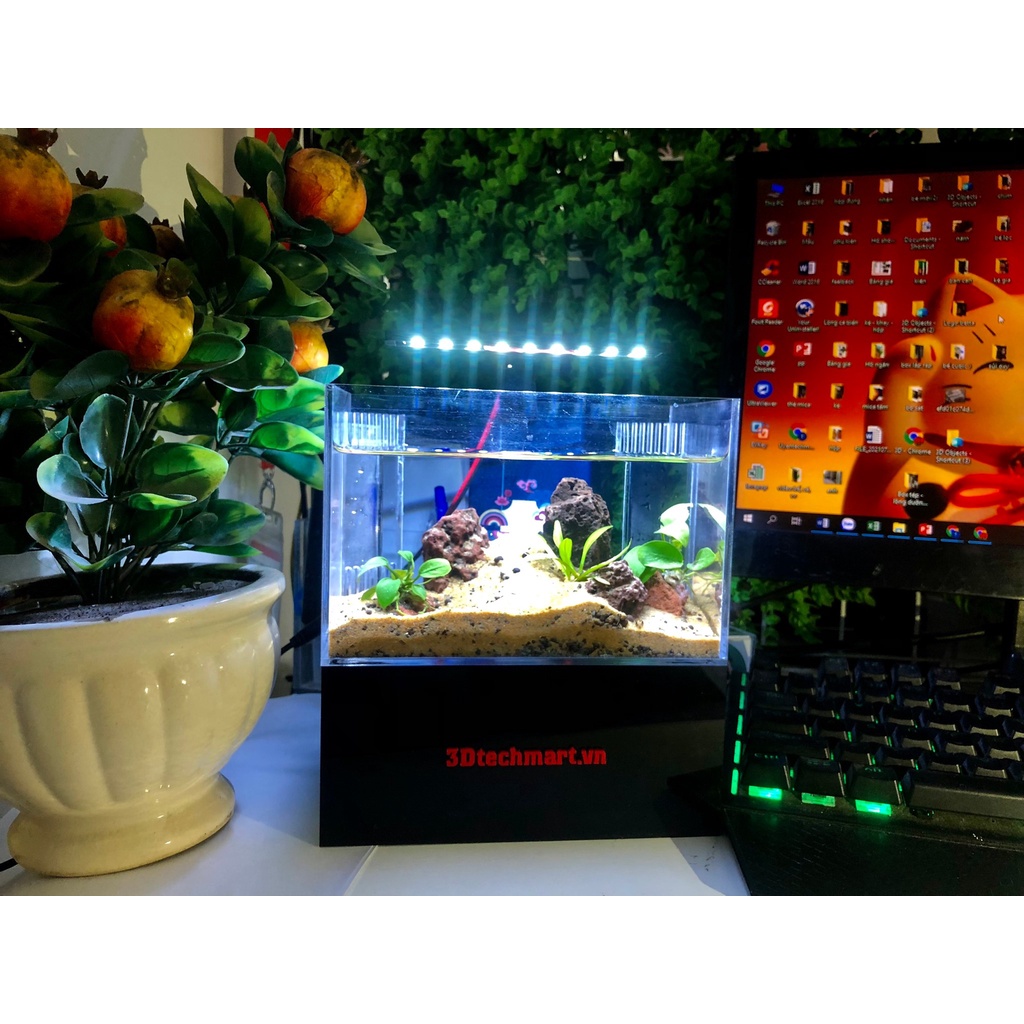 Fish tank/Super transparent mica and acrylic aquarium for desktop ...