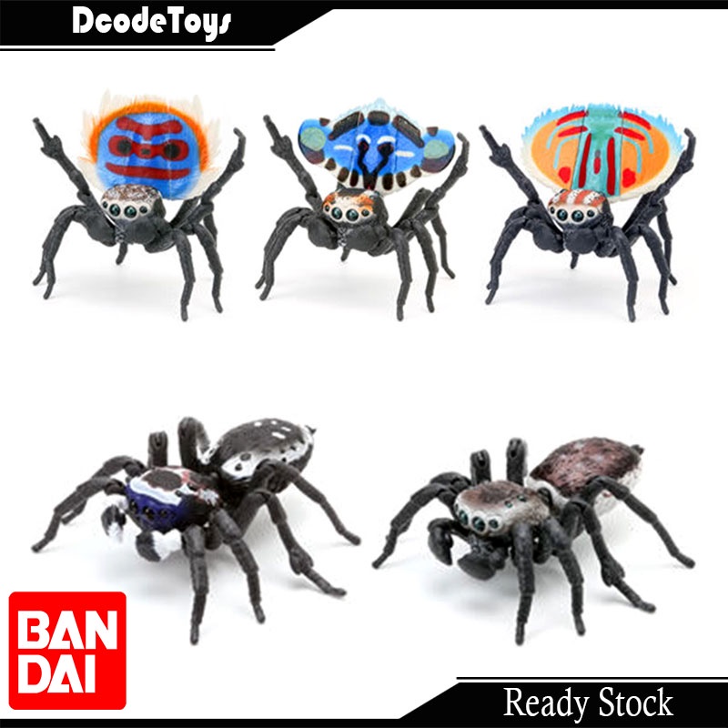 Big Size Maratus Spider Bandai Gashapon Insect Bug Nest 蜘蛛 孔雀蜘蛛 Movable ...