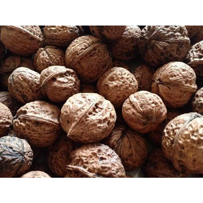 Whole Sticky Rice Walnuts 1KG | Shopee Singapore