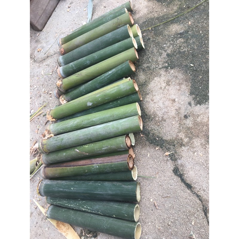 Combo of 5 bamboo tubes to cook blue rice 30cm long | Shopee Singapore