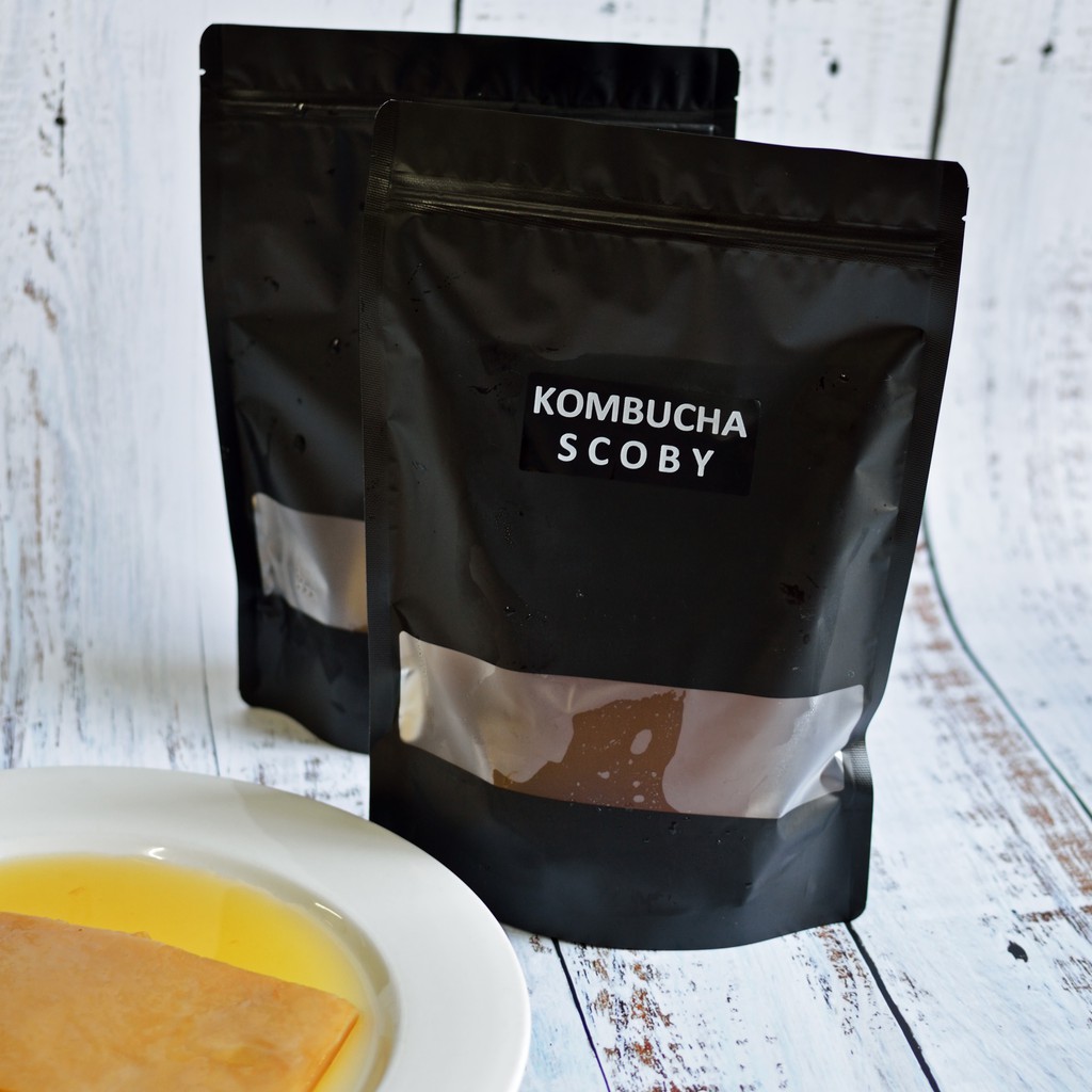 Kombucha Scoby (Big sized!) | Shopee Singapore