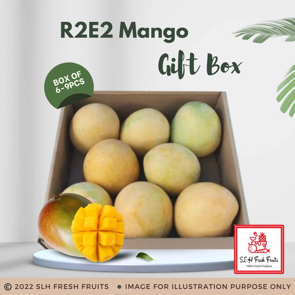 SLH R2E2 Mango Gift Box (Box of 6-9pcs)(±5kg) | Shopee Singapore
