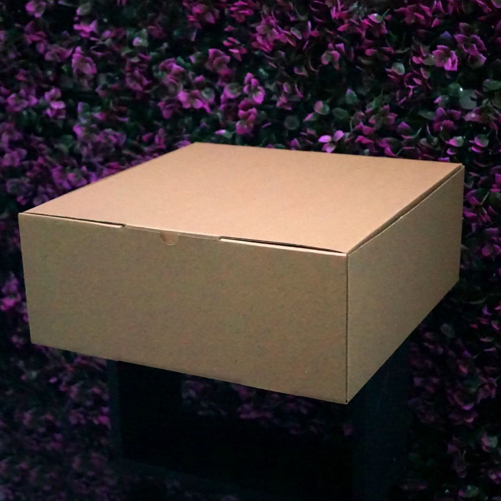 Plain Packaging Box Height 30x30 x 12 cm - Pizza Box - Box Shape ...