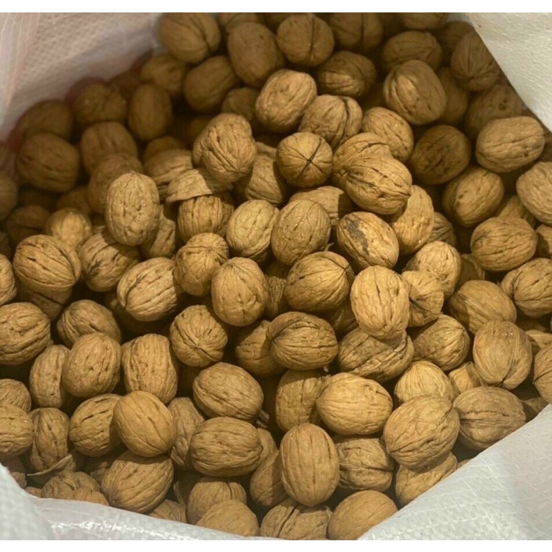 Tran Anh Food walnuts - Imported golden walnuts in shell 500G Free ...