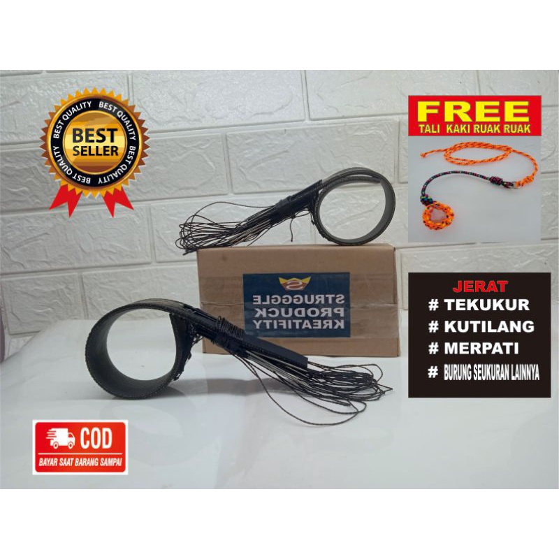 The Snare Of RACIK Stepping In/Sow (21 Pole) Measure The BALAM Of The ...