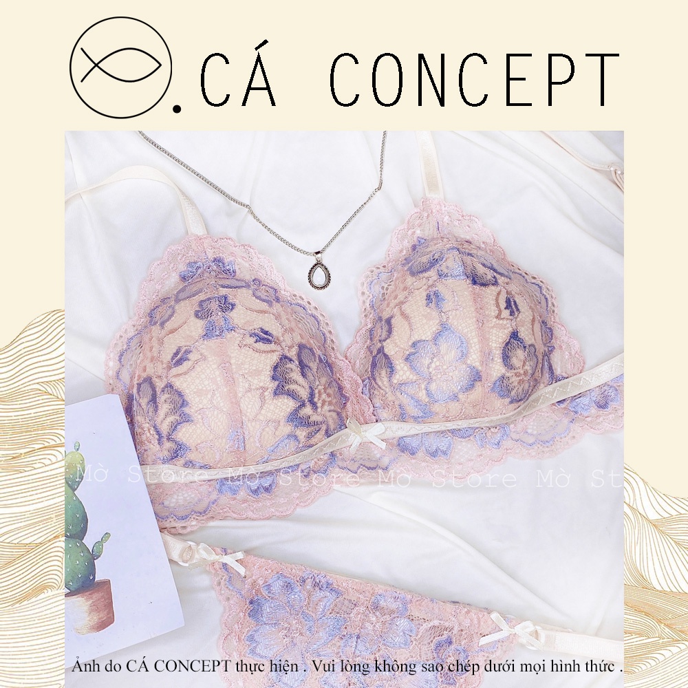 Fish CONCEPT pink and blue lace bra Set, underwear designed with padded ...
