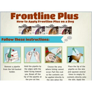 Frontline Plus For Dogs and Cats All Sizes 6 Pipettes | Shopee Singapore