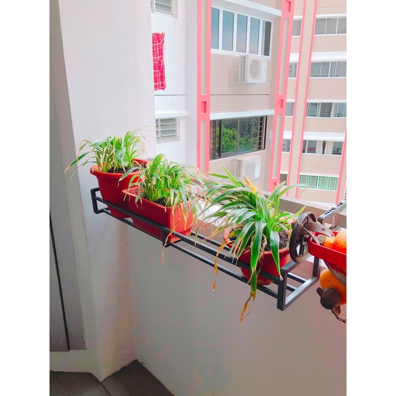 Modern Heavy Duty MIni High Plant rack balcony Display shelf for HDB ...