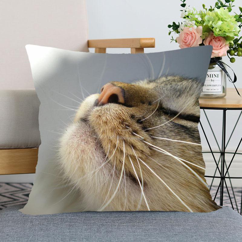 45x45cm Cat Pattern Real Animal Pillowcase Home Decor Pillowcase Zipper ...