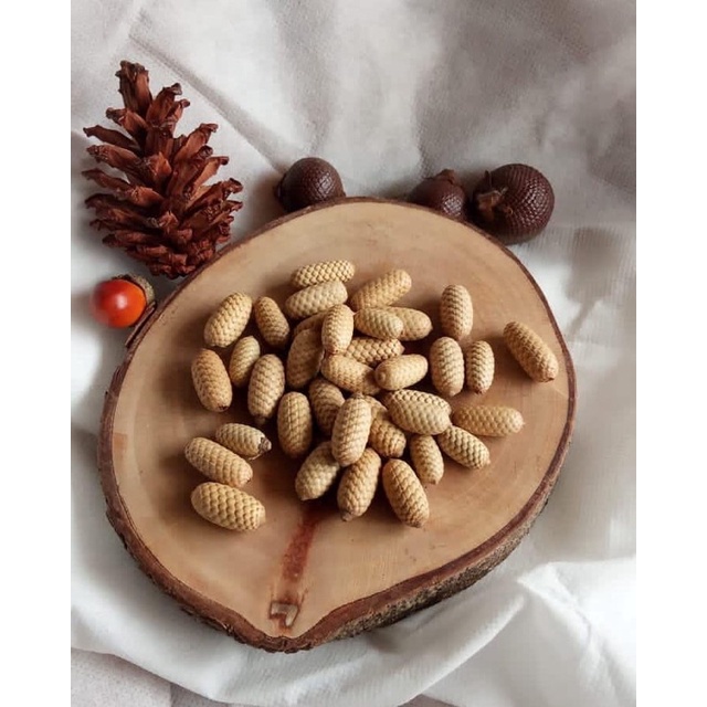 5Pcs rustic Rattan Seeds rustic craft Materials Delicious Crafts Seeds ...