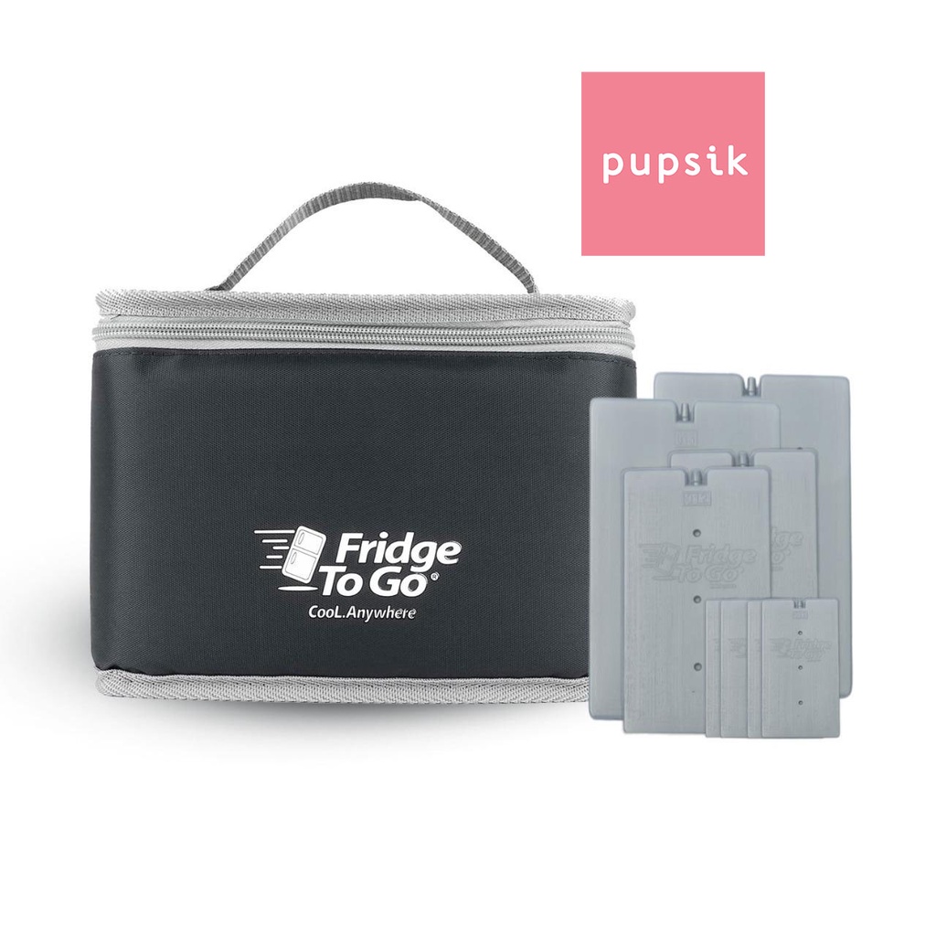 Fridge-To-Go Pack N Go SB Cooler Bag - Black (8 panels) | Shopee Singapore