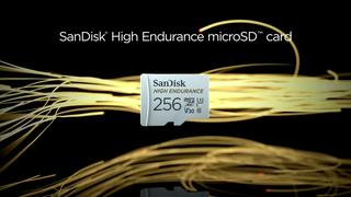 SanDisk High Endurance MicroSD card with Adapter for Dashcam & CCTV, IP ...