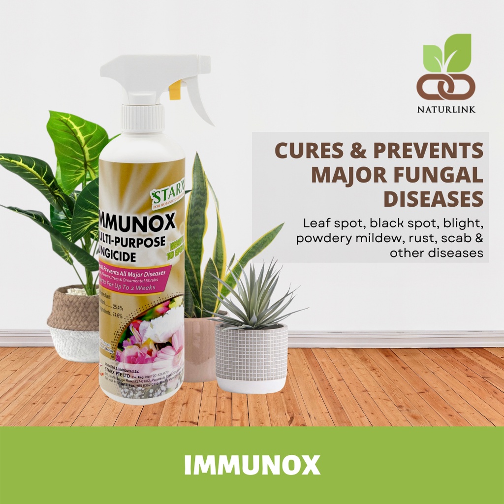 STARX Immunox Multi-Purpose Garden Fungicide (500ml) Spray | Cure ...