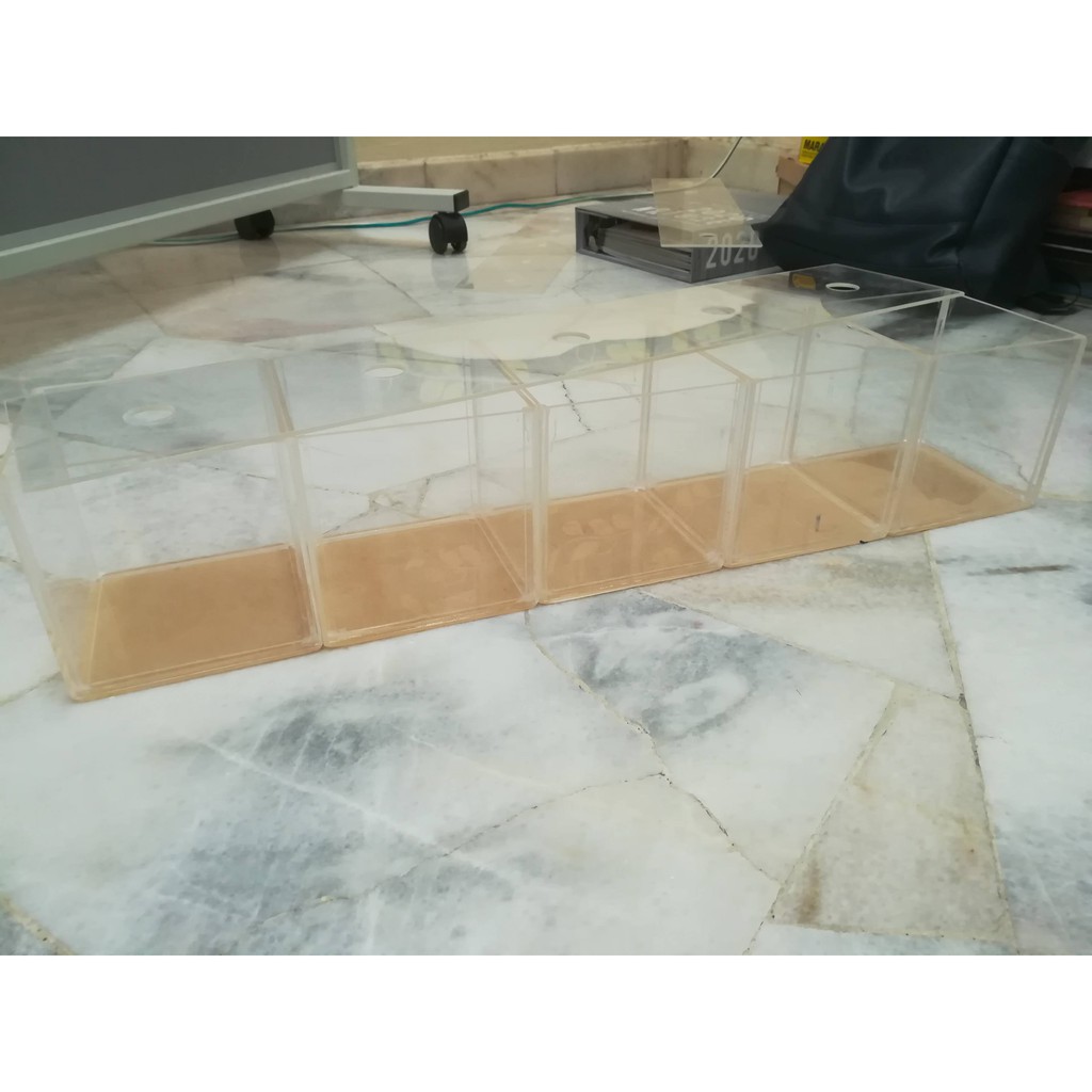 Acrylic Aquarium Water Tank (Custom Made) | Shopee Singapore