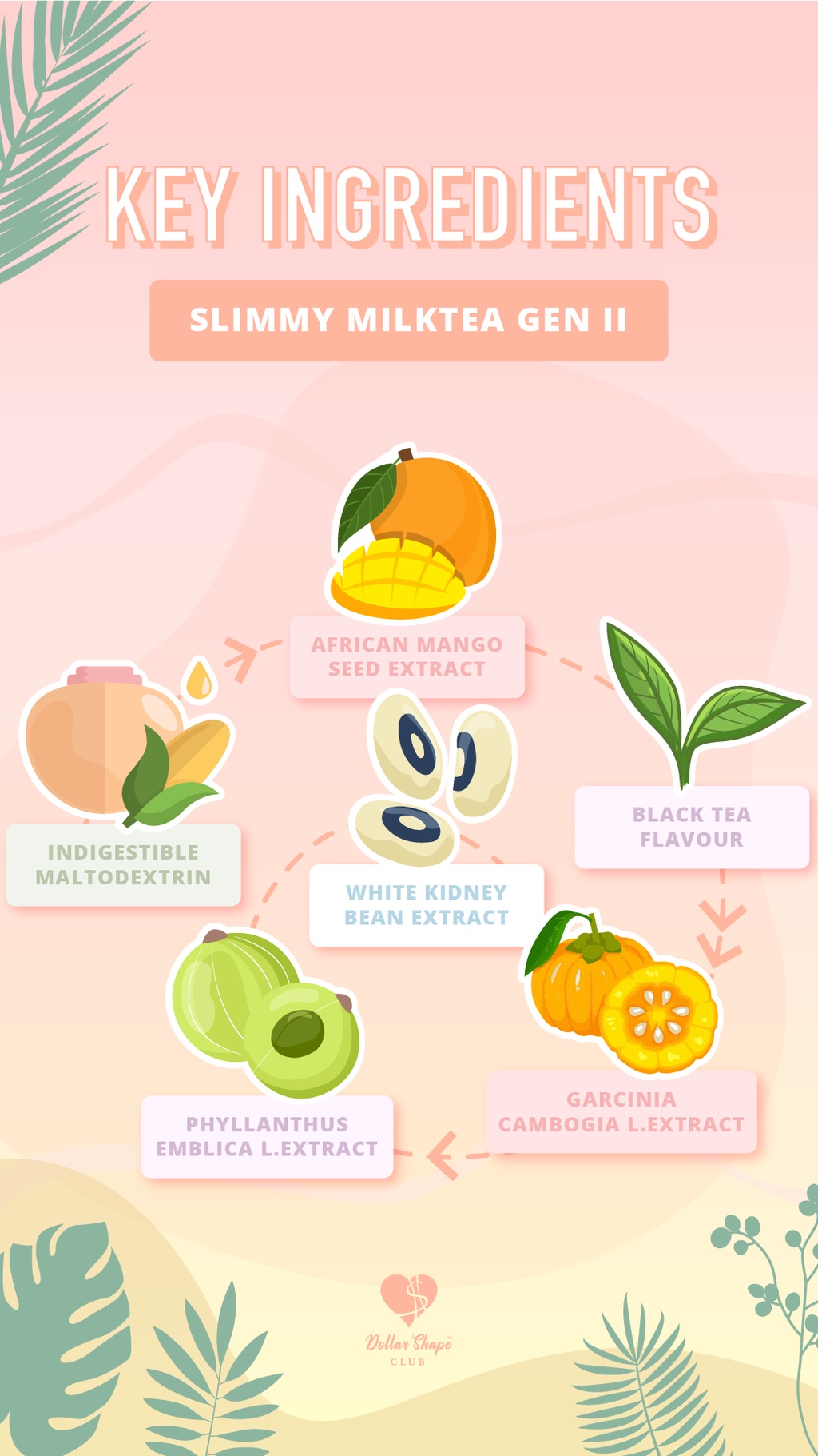 SG SELLER INSTOCK 💥 Slimmy Milk Tea GEN II BUNDLES ⭐️ Slimming Diet ...