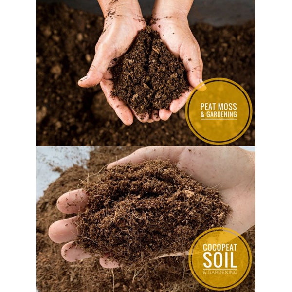 READY STOCKS l Sphagnum Peat Moss Moss Peat Substrate Made In Germany ...