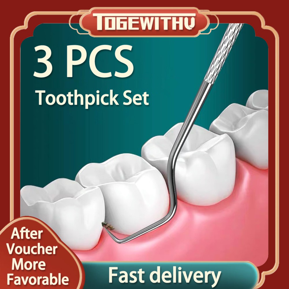 3PCS Toothpick Pocket Set, Reusable Dental Tools Stainless Steel Teeth ...