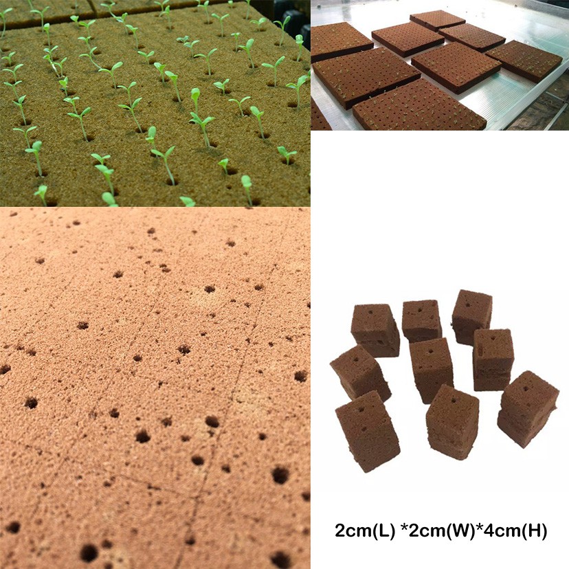Oasis Cubes Rockwool for Hydroponics Aeroponics Aquaponics | Shopee ...