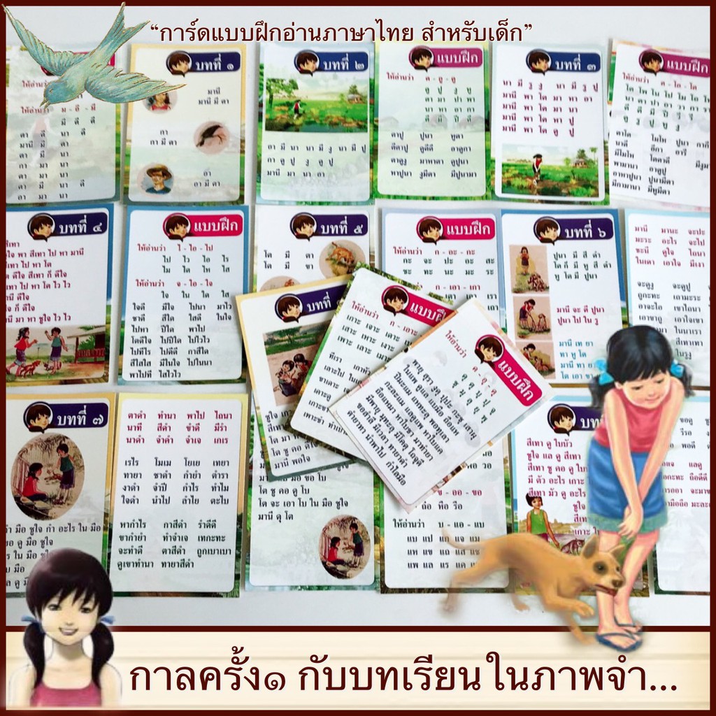 Thai Reading Practice Maneemana Flash Card | Shopee Singapore