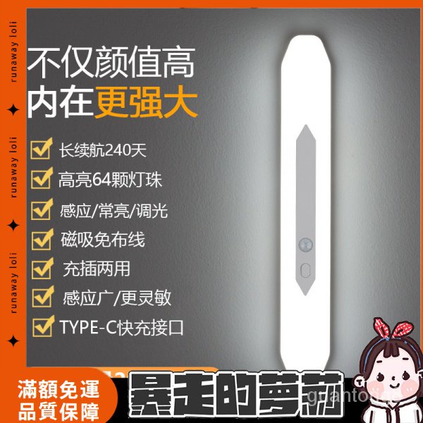 Magnetic Induction Light LED Human Body Magnet Night Cabinet USB ...